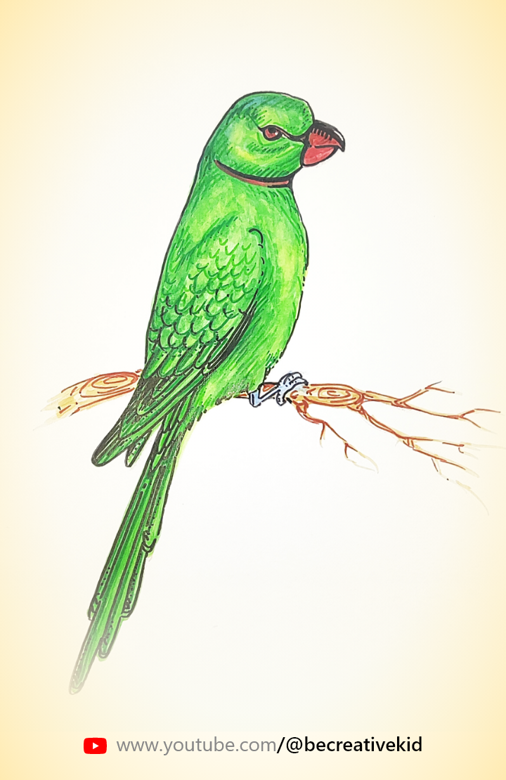 Free coloring page for coloring Parrot pdf download and fill color - how to
