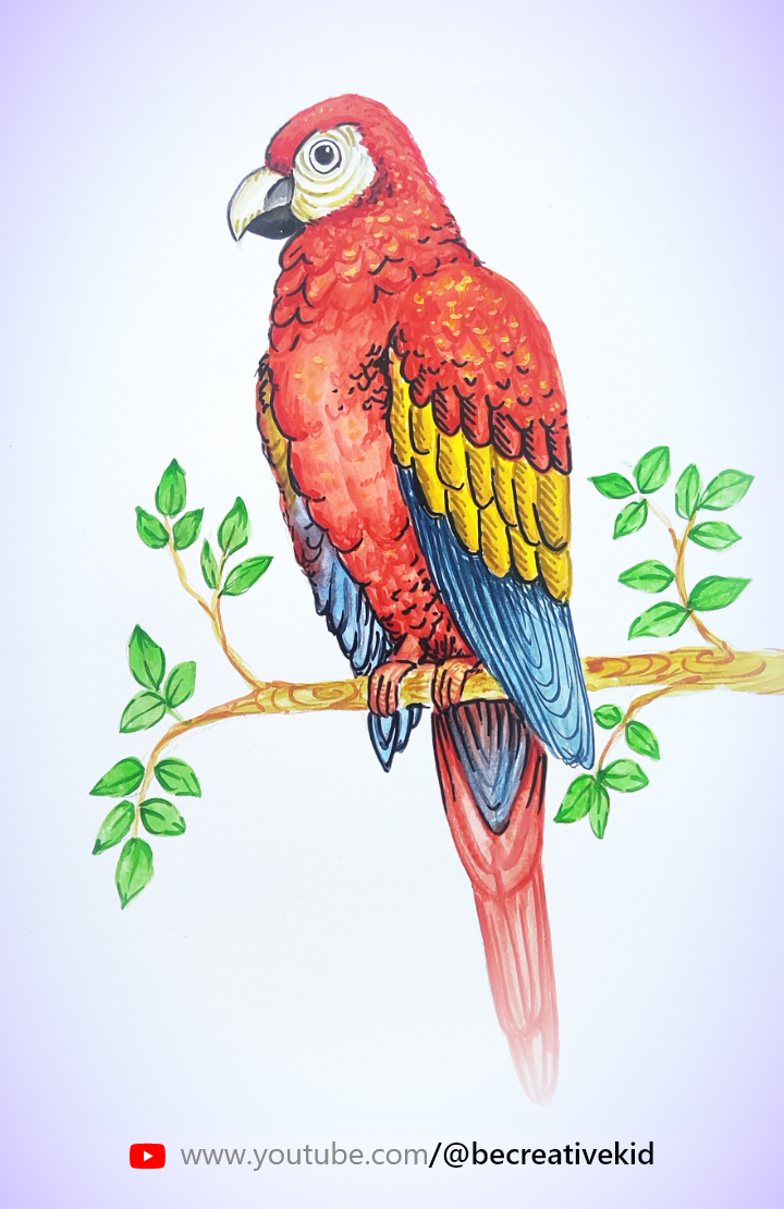 Download free coloring page for coloring Parrot pdf download and fill color